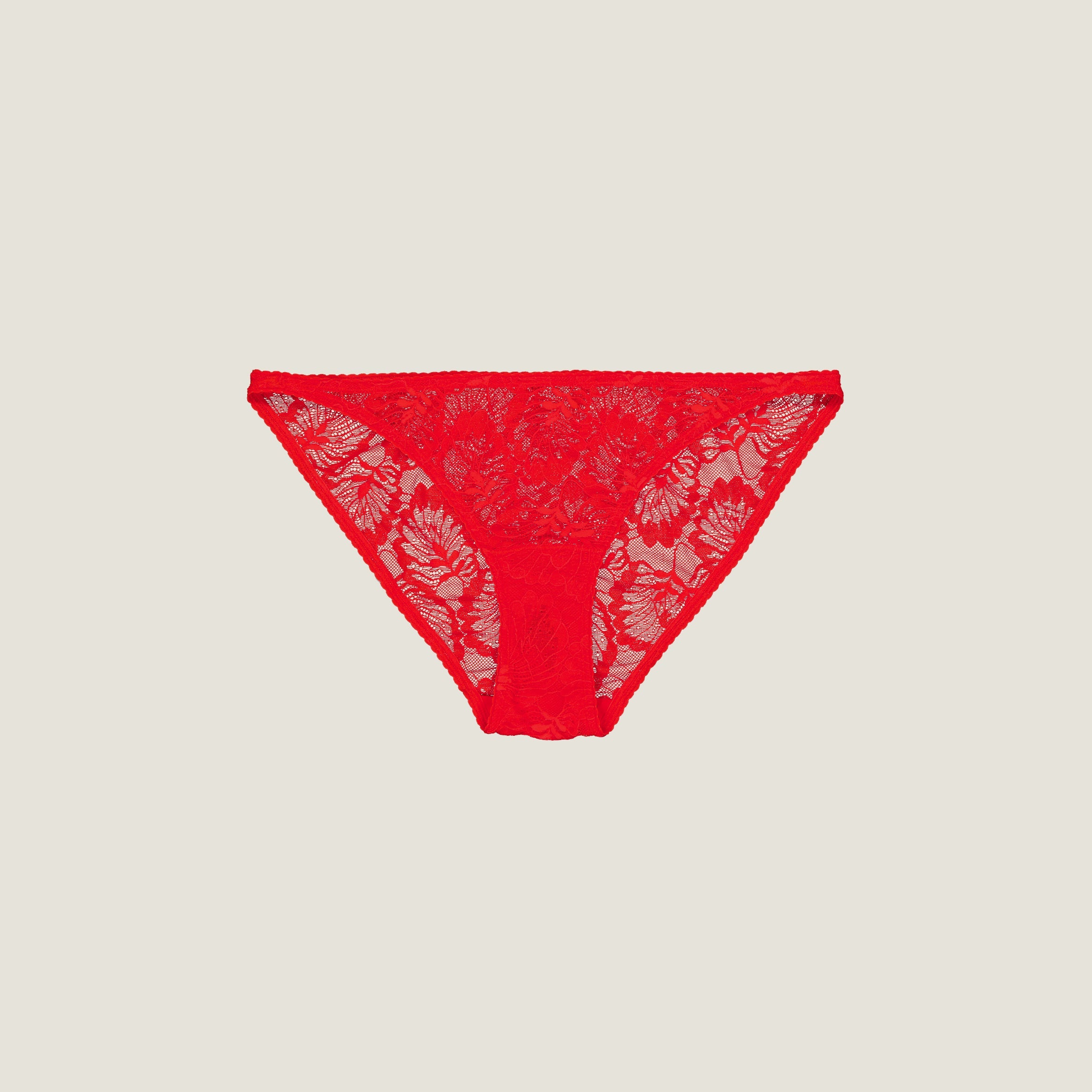 The Bikini Brief – OHEN